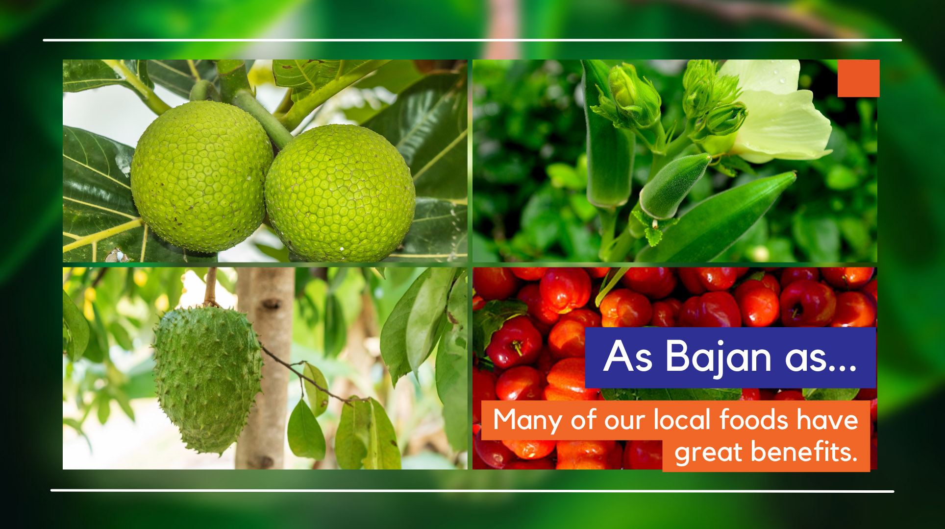 As Bajan As... | Bajan Diet Designs Inc.