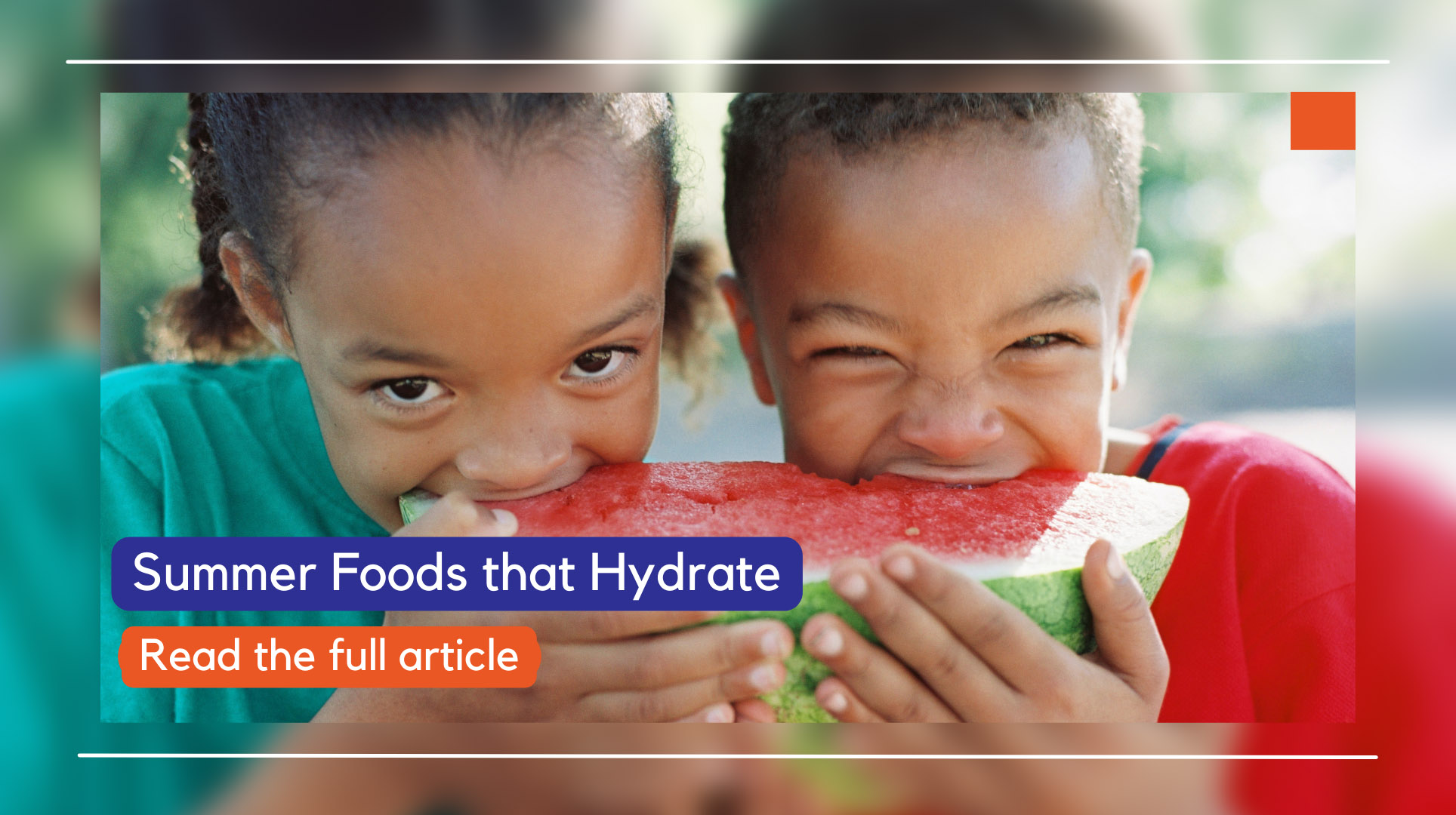 Summer Foods that Hydrate | Bajan Diet Designs Inc.